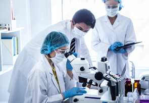 Business | WORLD INTEC CO., LTD.